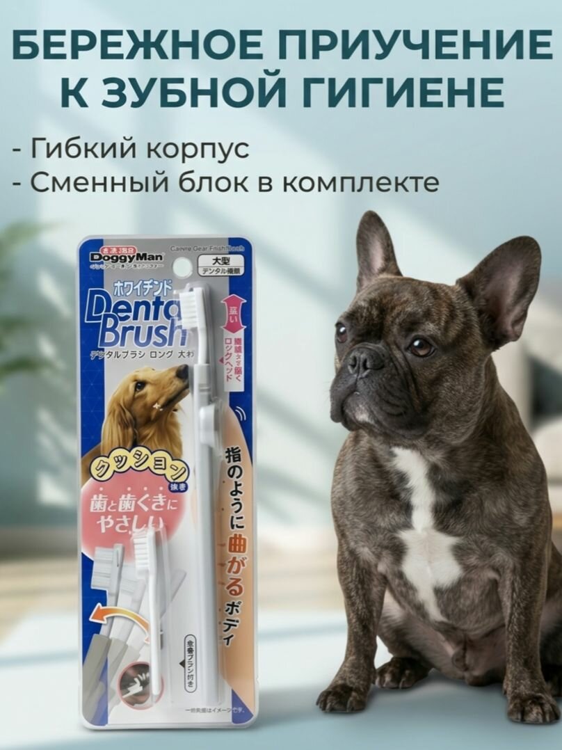 Анатомическая зубная щетка Japan Premium Pet с подвижным корпусом. В комплекте со сменным блоком. Для малых и средних пород собак