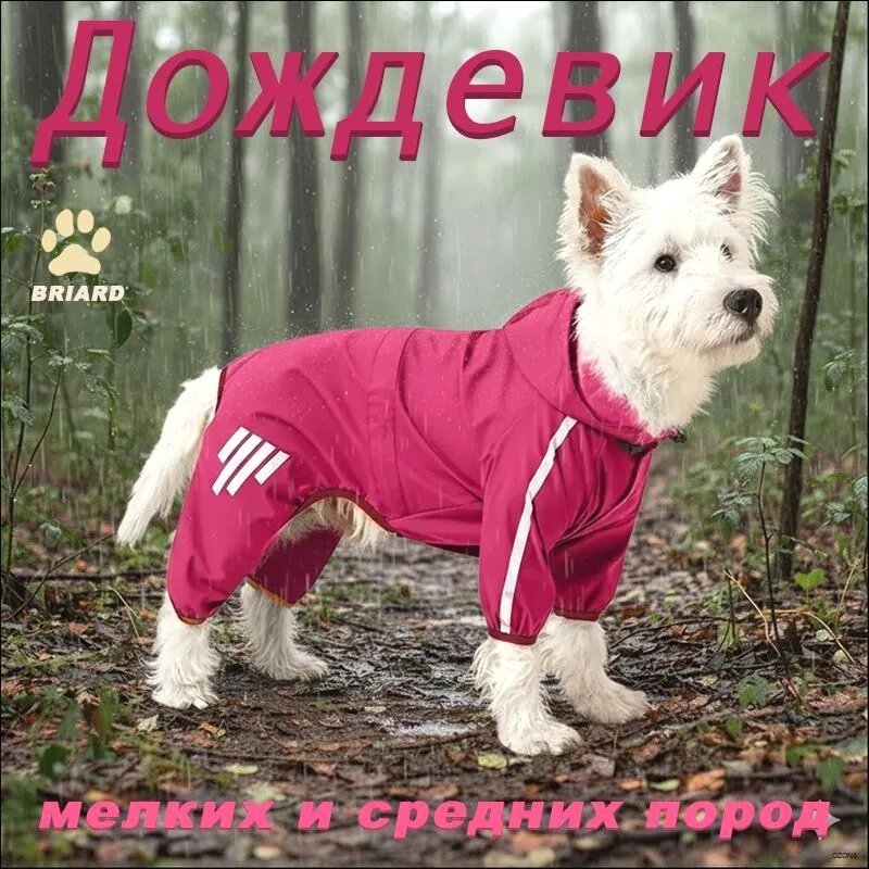 Одежда для собак, комбинезон, дождевик для мелких и средних пород