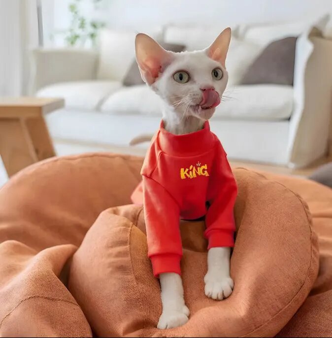 Смешная одежда для собак и кошек — фото 1