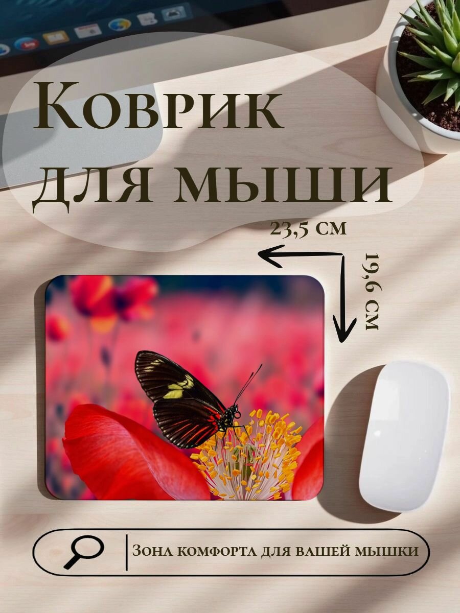 Коврик для мыши бабочка птицекрылка на маке