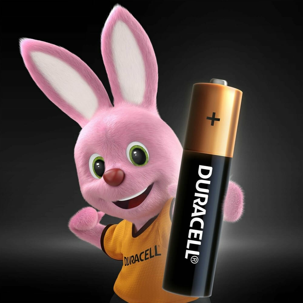 Батарейки щелочные Duracell Basic ААA/LR03 4 шт. блистер Б0026813 RPL00511 — фото 1