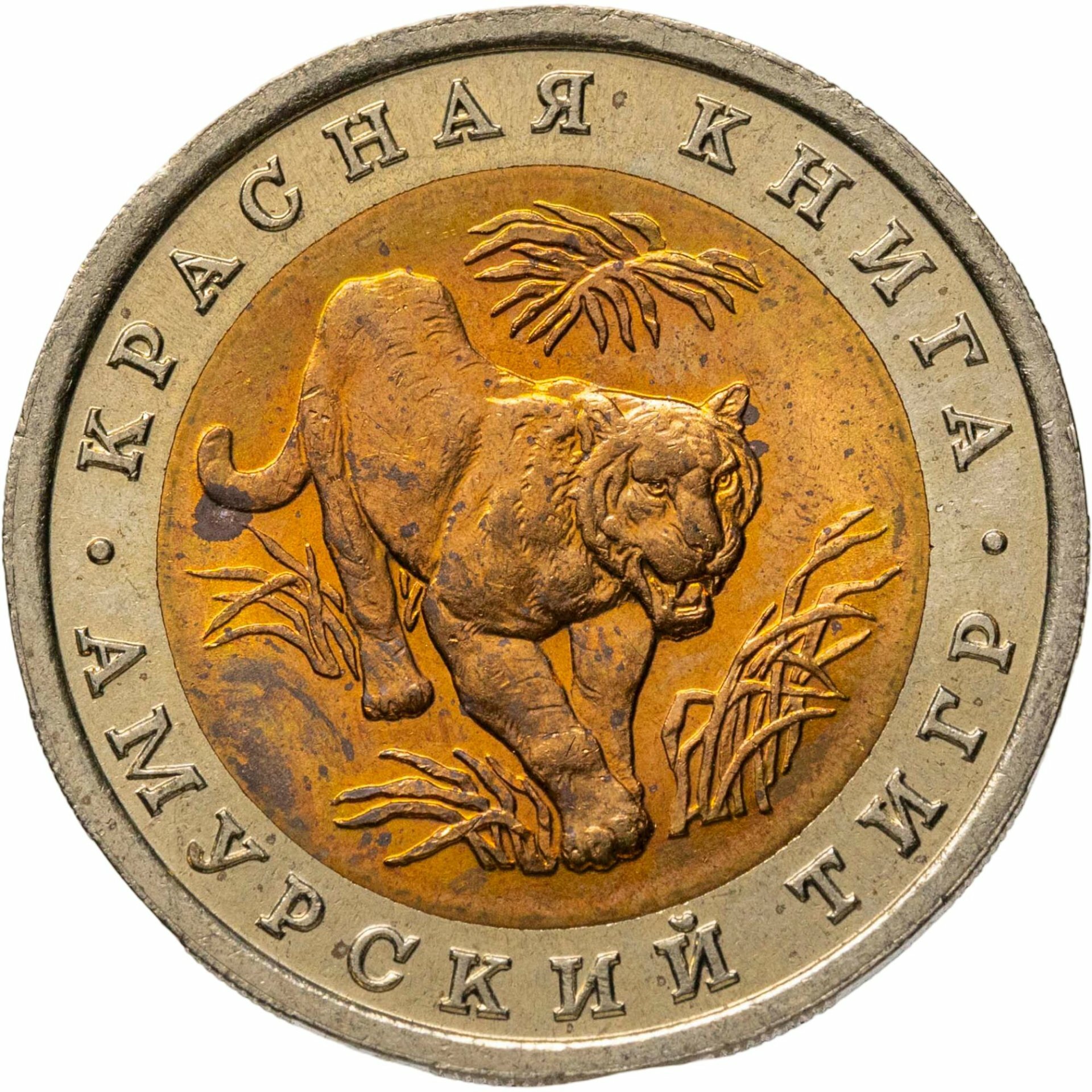 10 рублей 1992 ЛМД "Амурский тигр", Биметалл, в сохранности AU-UNC