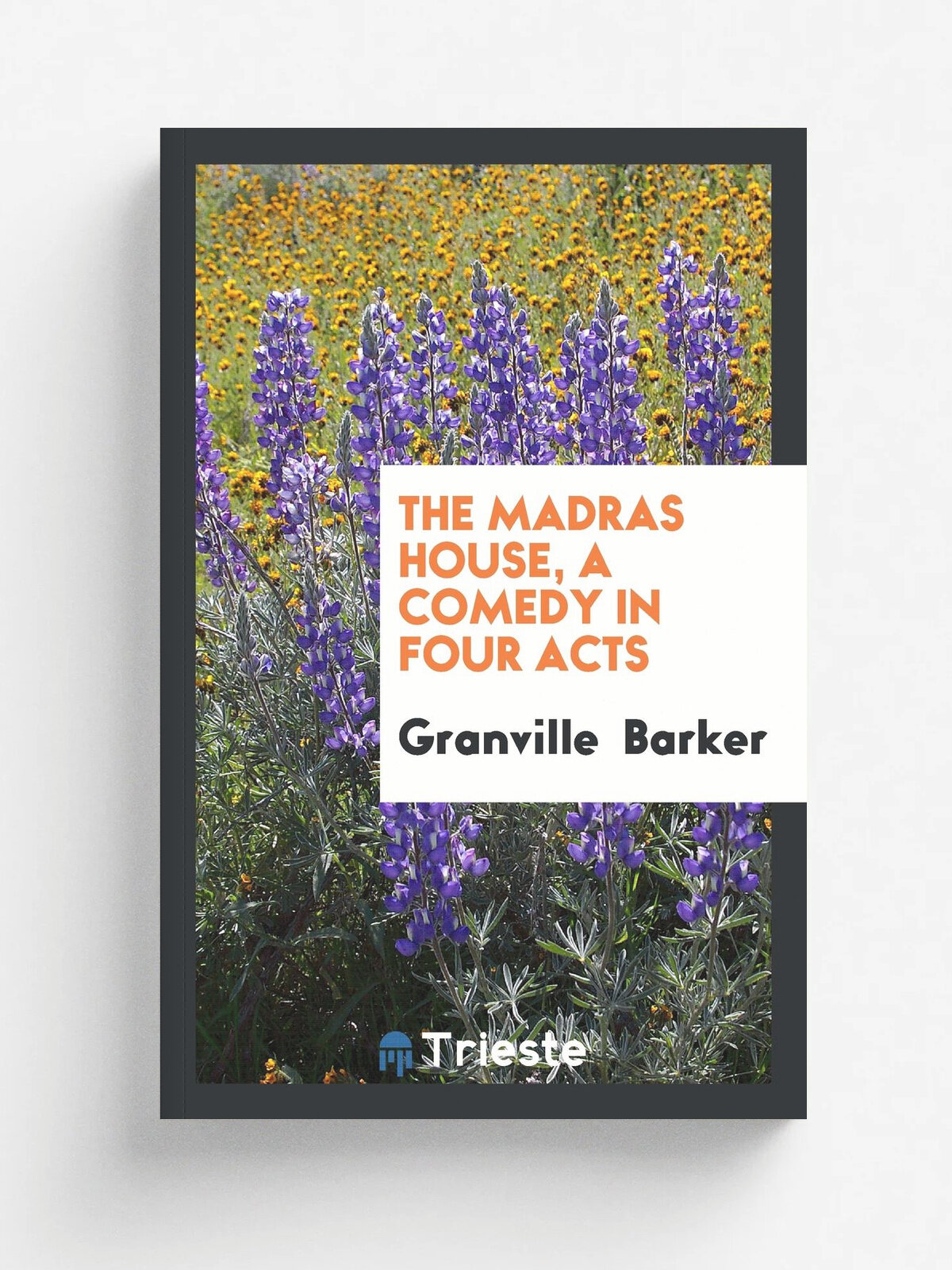 The Madras house, a comedy in four acts