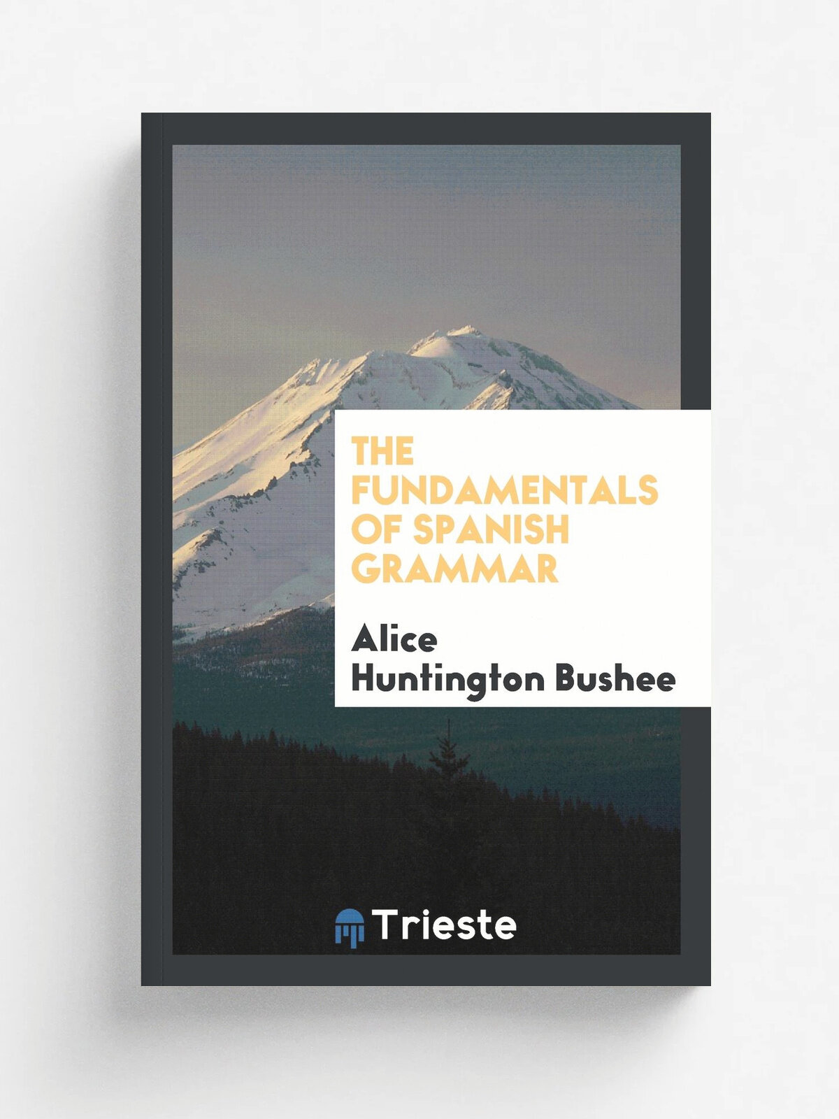 The Fundamentals of Spanish Grammar