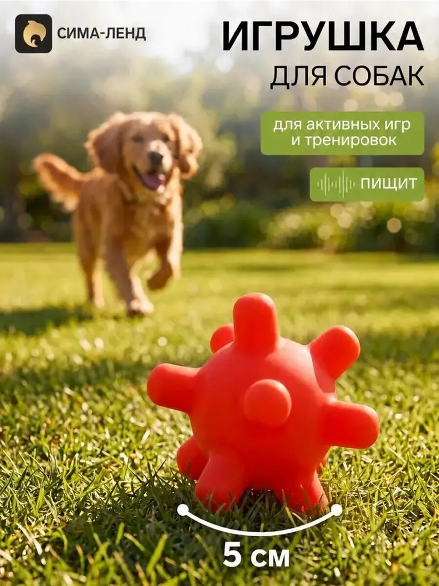 Яркий шипованный мяч для активных собак