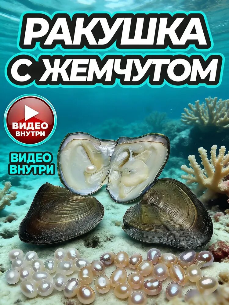 Жемчуг в ракушке речной культивированный / вакуум