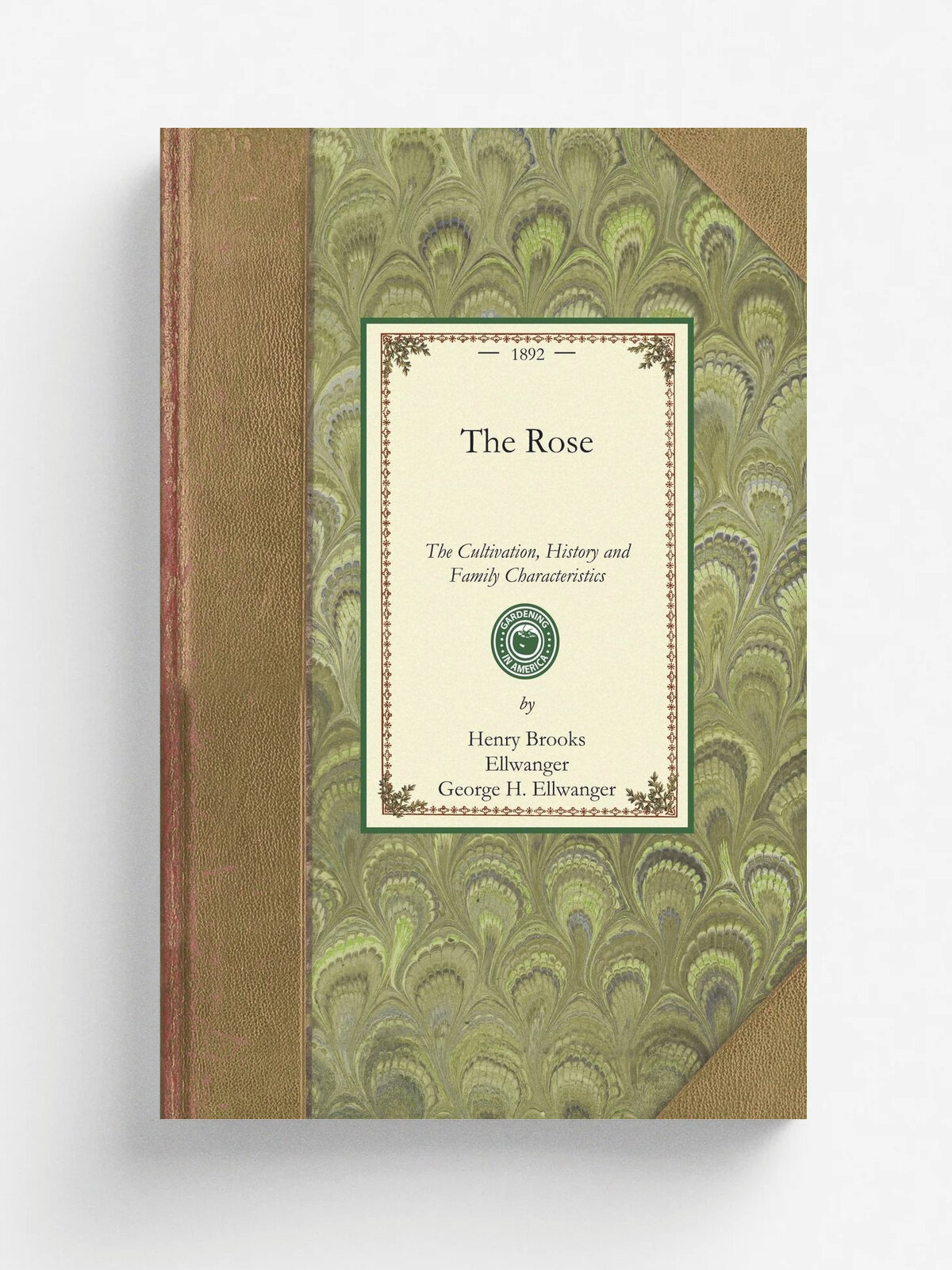 The Rose