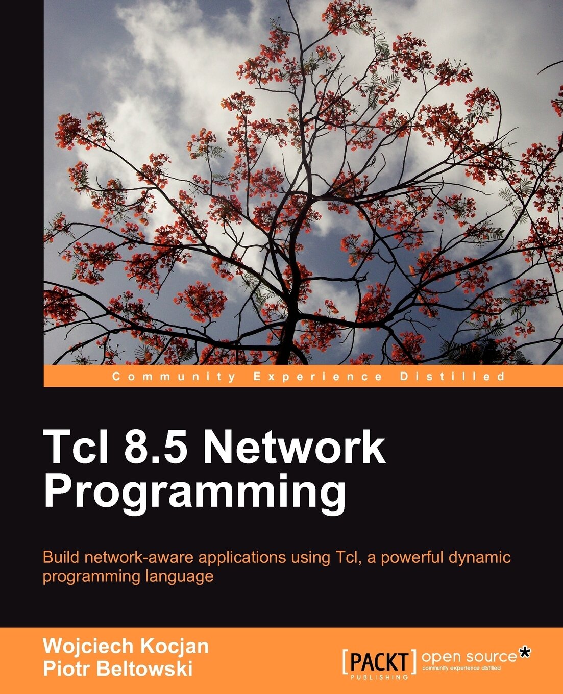 TCL 8.5 Network Programming — фото 1