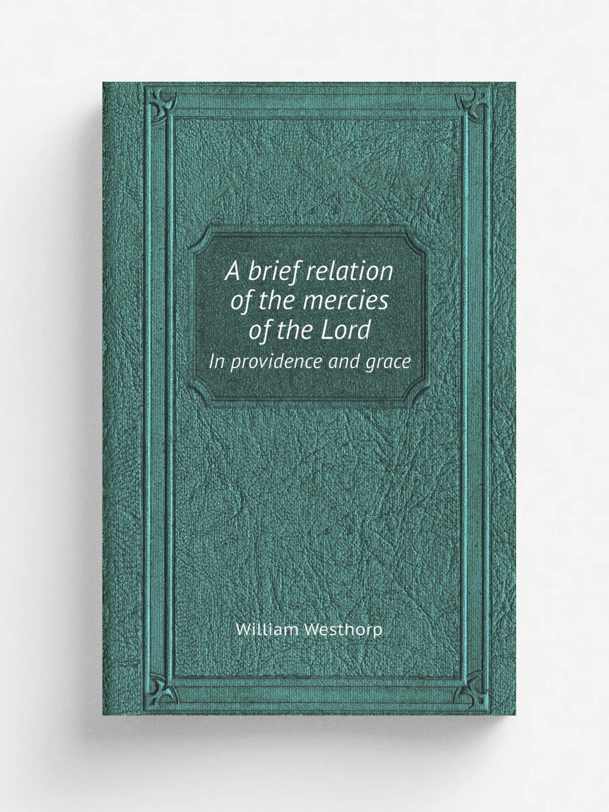 A brief relation of the mercies of the Lord. In providence and grace