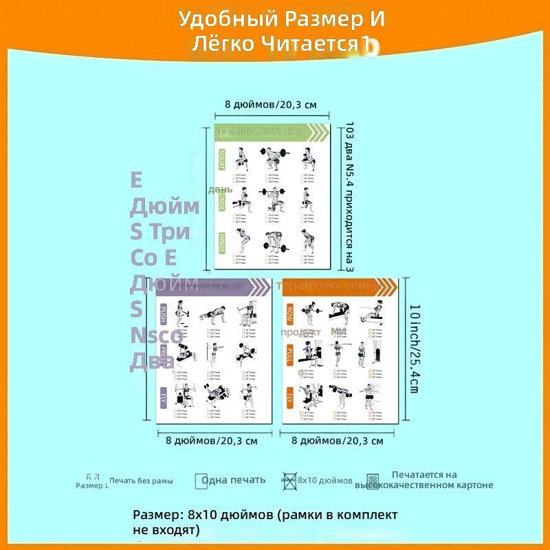 Набор из 3 постеров для фитнеса: схемы силовых тренировок и наращивания мышц, без рамки, 8x10 дюймов, бумага, для ног, груди и спины, настенный декор для домашнего спортзала