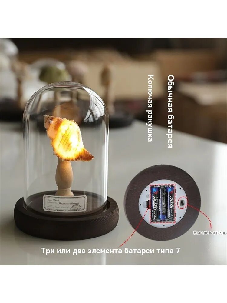 Ночник Винтажный с ракушками и морскими spiralями светильник для ночи для tabletop ручной декор