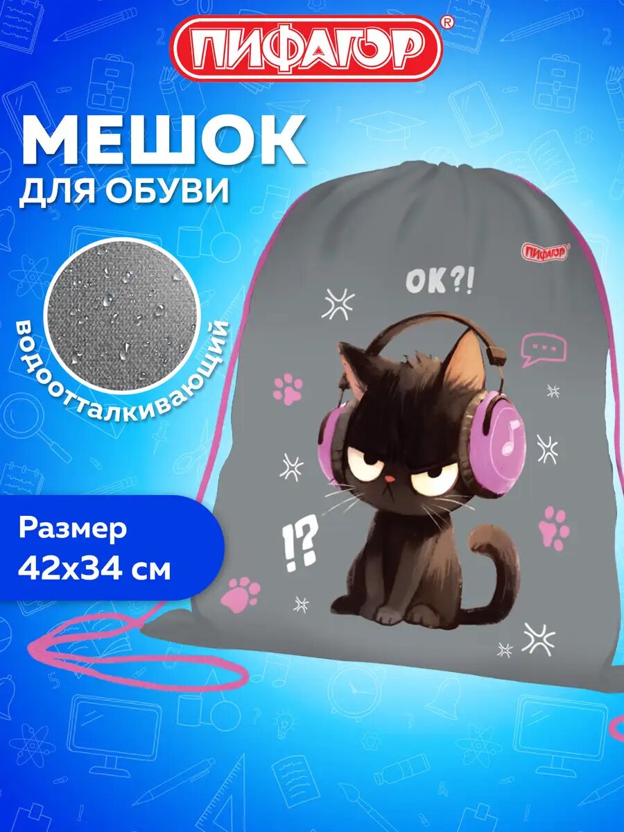 Мешок для обуви, сумка для сменки в школу, чехол детский плотный, 42х34 см, 1 отделение, Пифагор, 274631