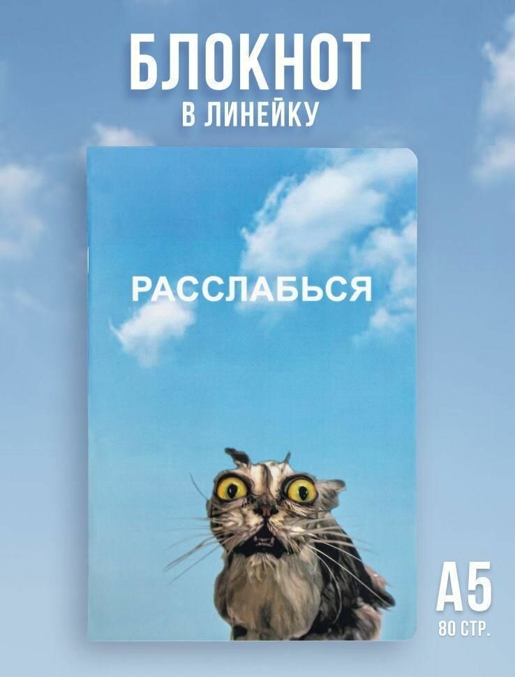 Ежедневник и еженедельник AROMABOOK Тетрадь А5 Мемные Котята "Расслабься"