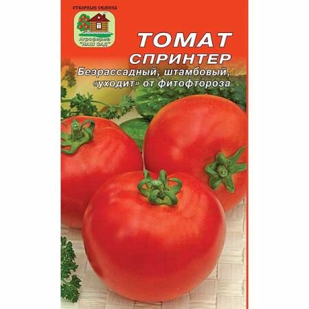 Семена Томат Спринтер - ранний , низкорослый , для открытого грунта ,10 семечек . Наш сад
