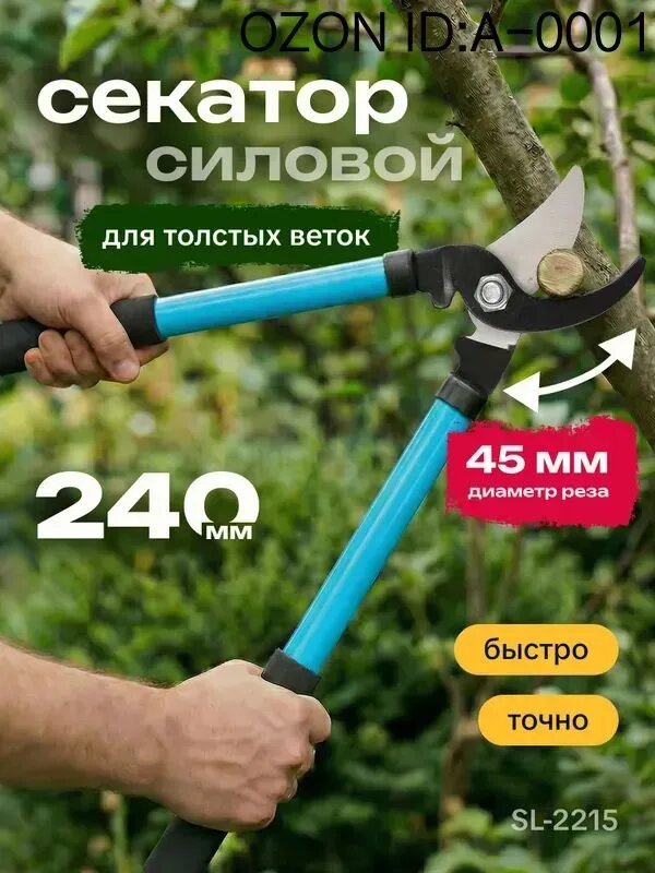 Сучкорез