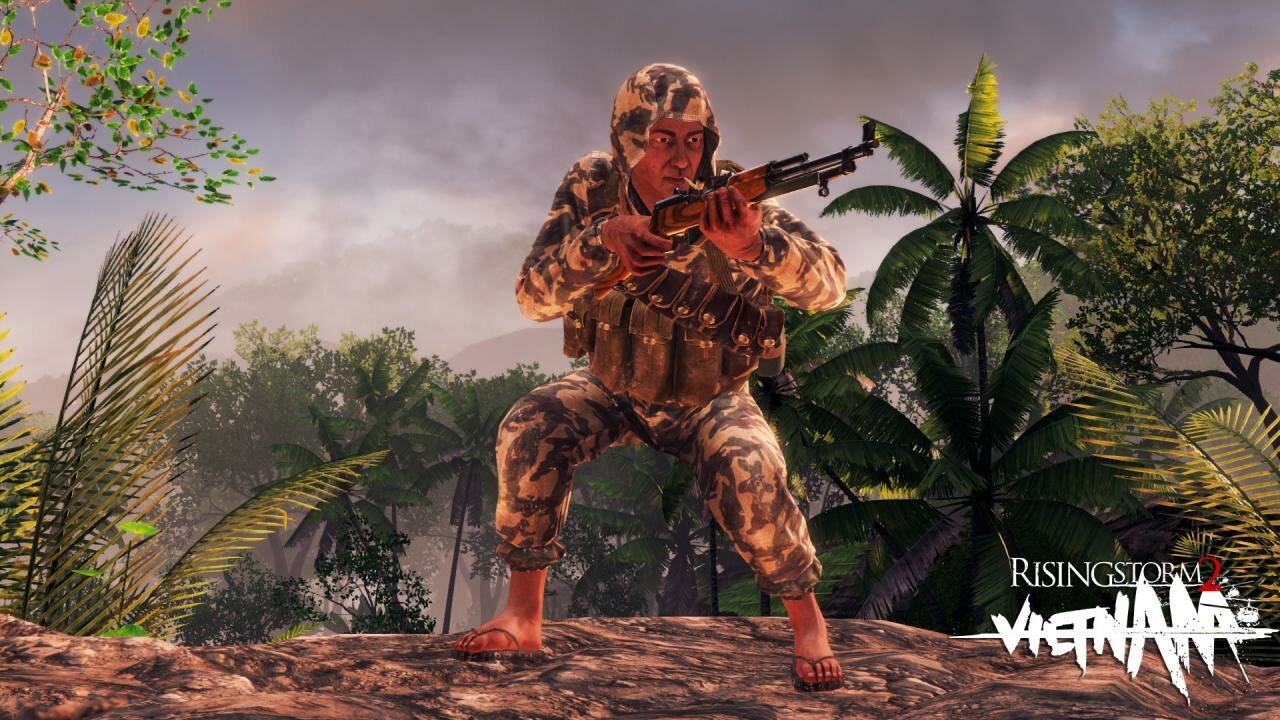 Rising Storm 2: Vietnam - Homeland Security Cosmetic DLC Steam Ключ