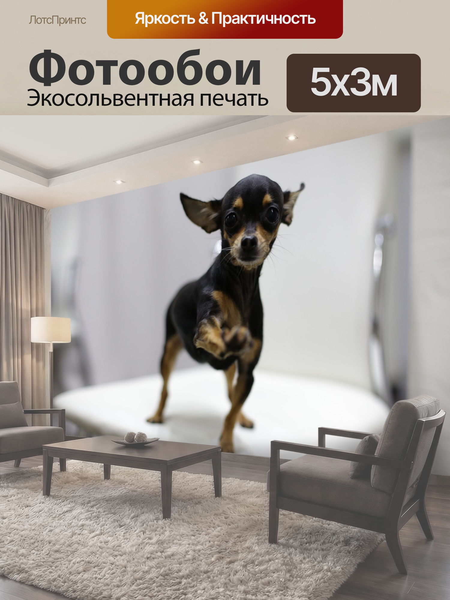 Фотообои "Собака, той-терьер, домашние питомцы" 500x300 см. экосольвентная печать