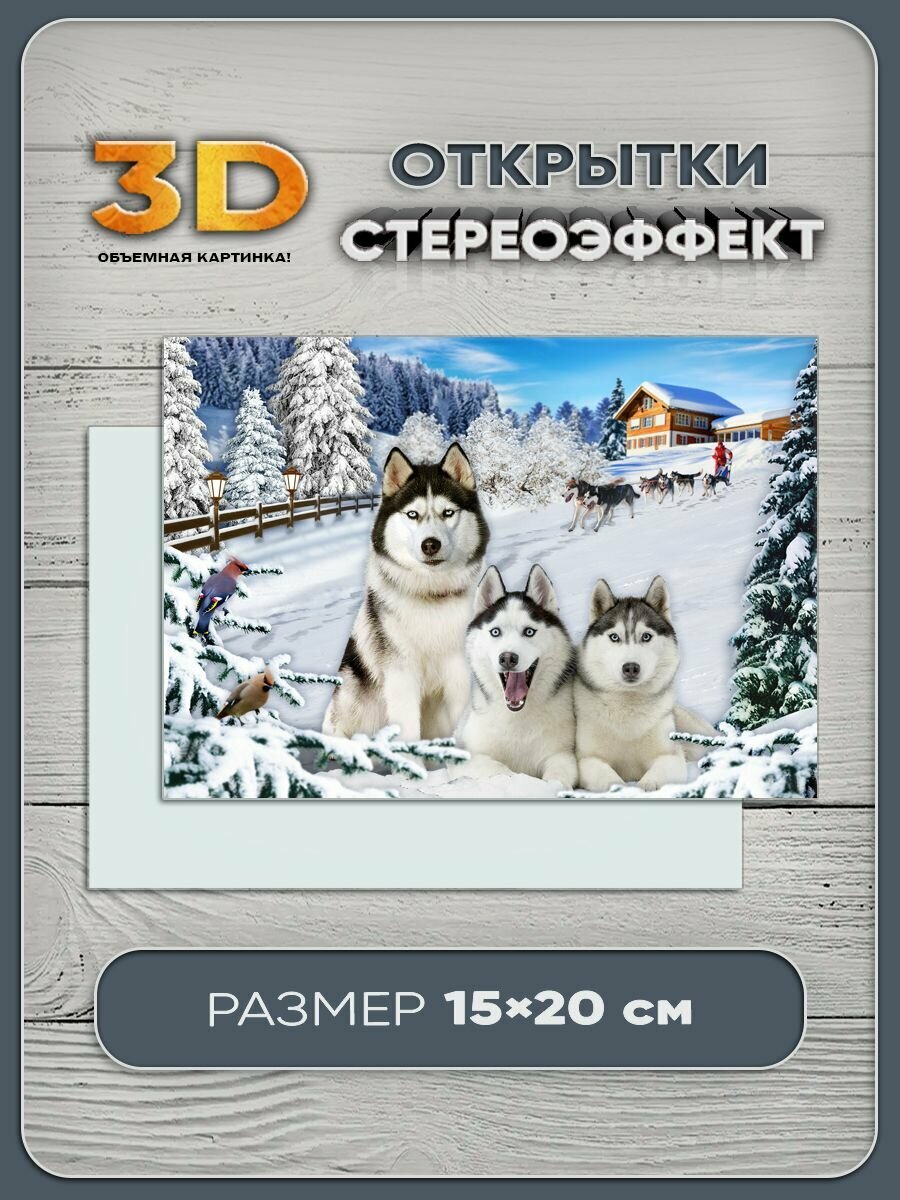 Стереооткрытка с 3D-эффектом "Хаски"