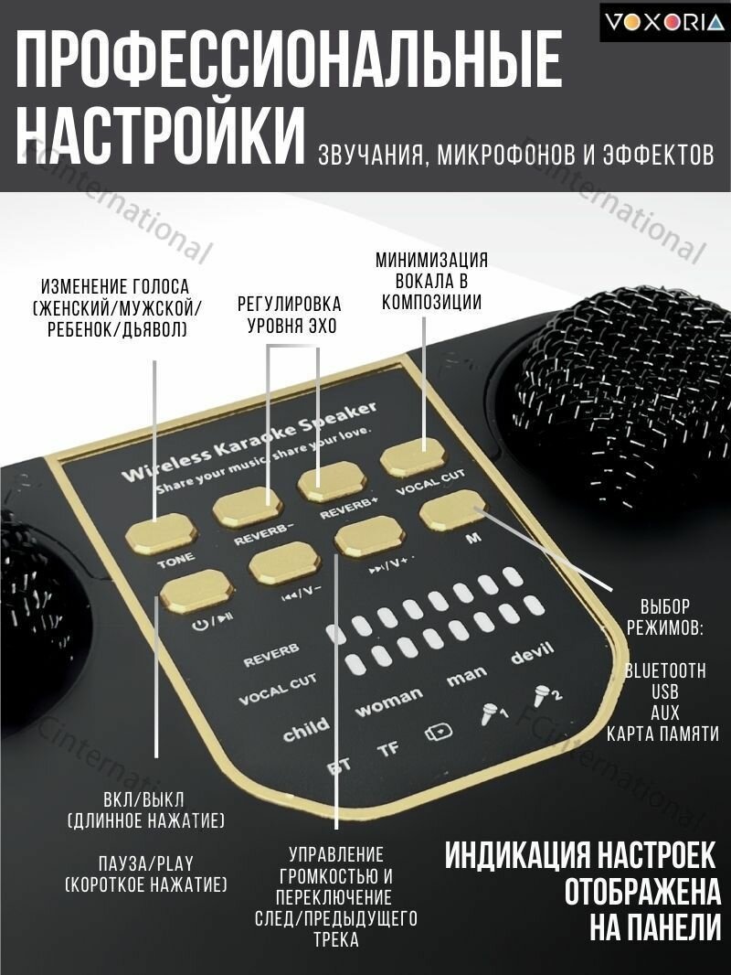 Караоке-система
