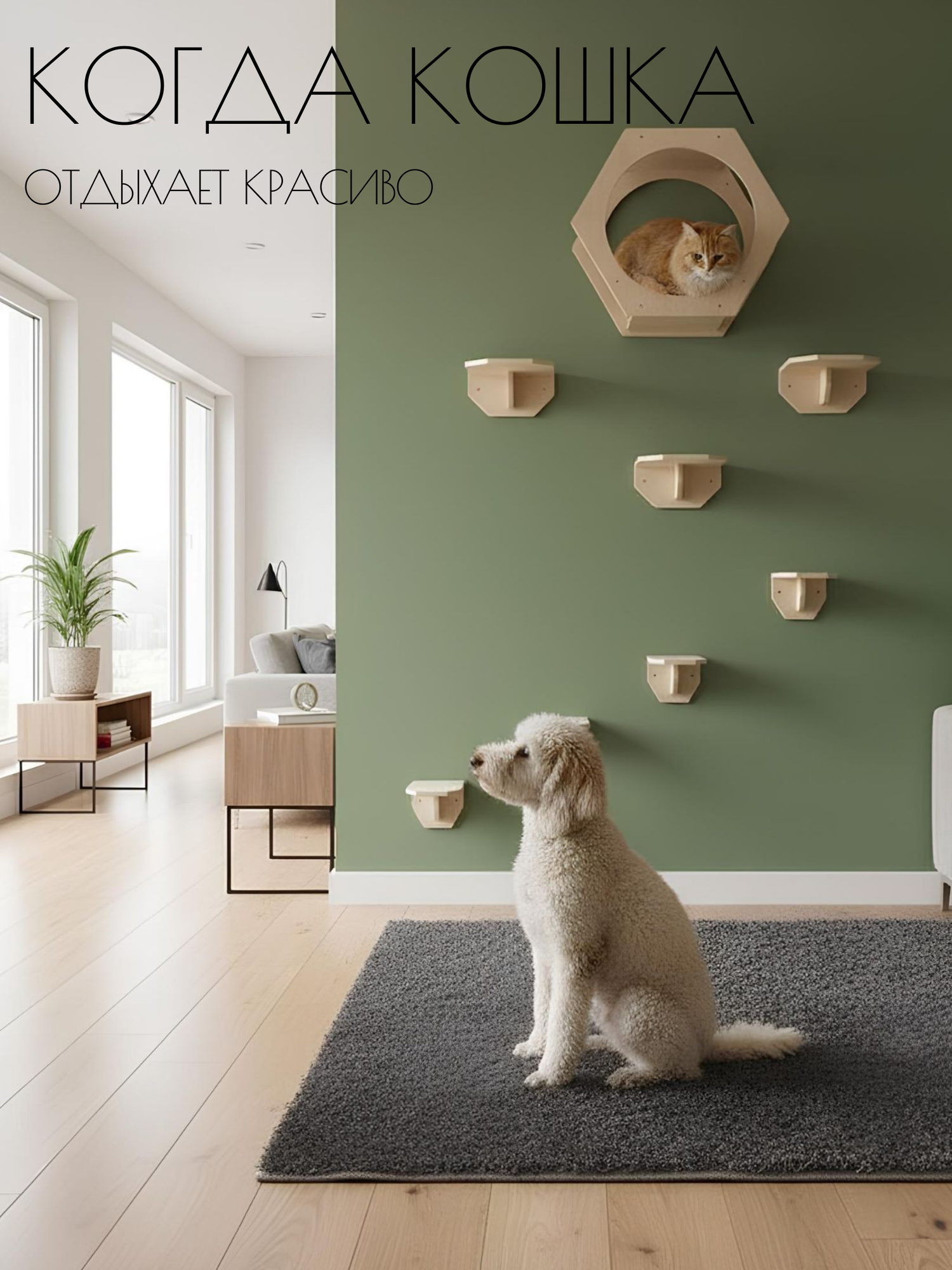 Игровой комплекс для кошки FluffyCity, настенный, домик, полки-лесенки 3 и 4 шт