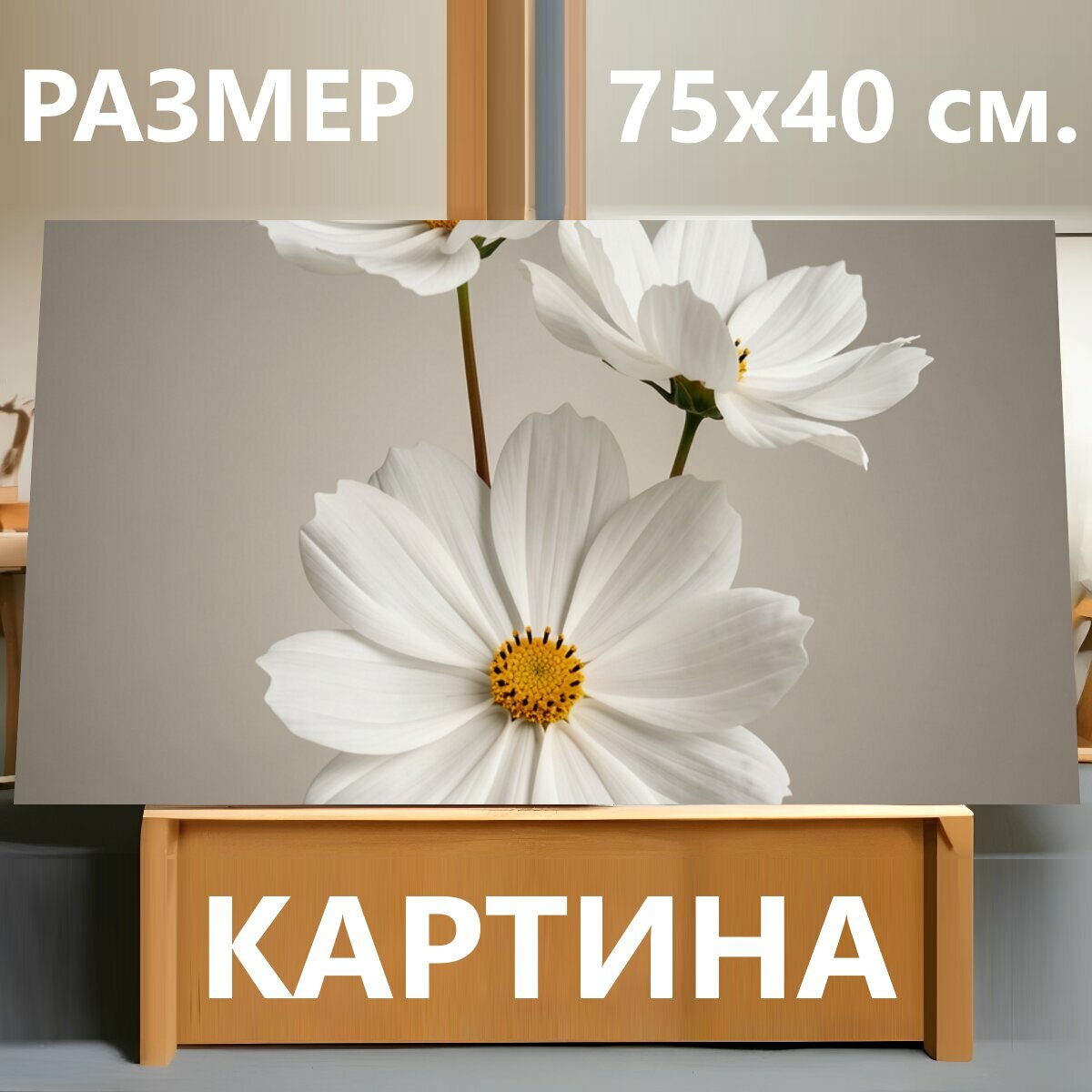 Картина на холсте "Белые космеи на нейтральном фоне. Нежная минималистичная композиция с изящными белыми цветами и жёлтыми серединками на." на подрамнике 75х40 см. для интерьера