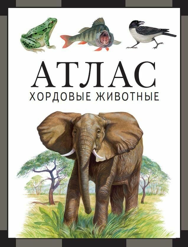 Хордовые животные : атлас