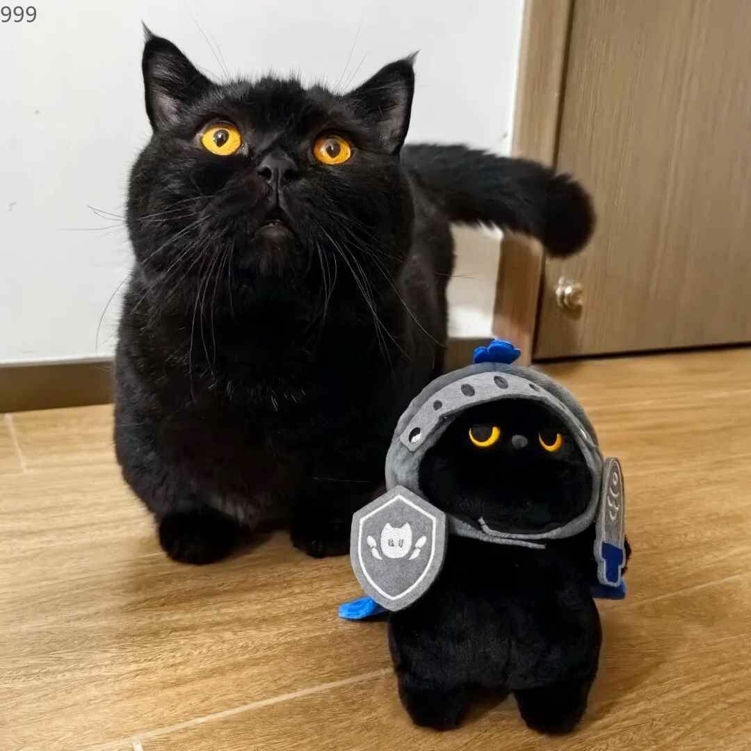 Эксклюзивная кукла кота в образе черного рыцаря, мягкая игрушка