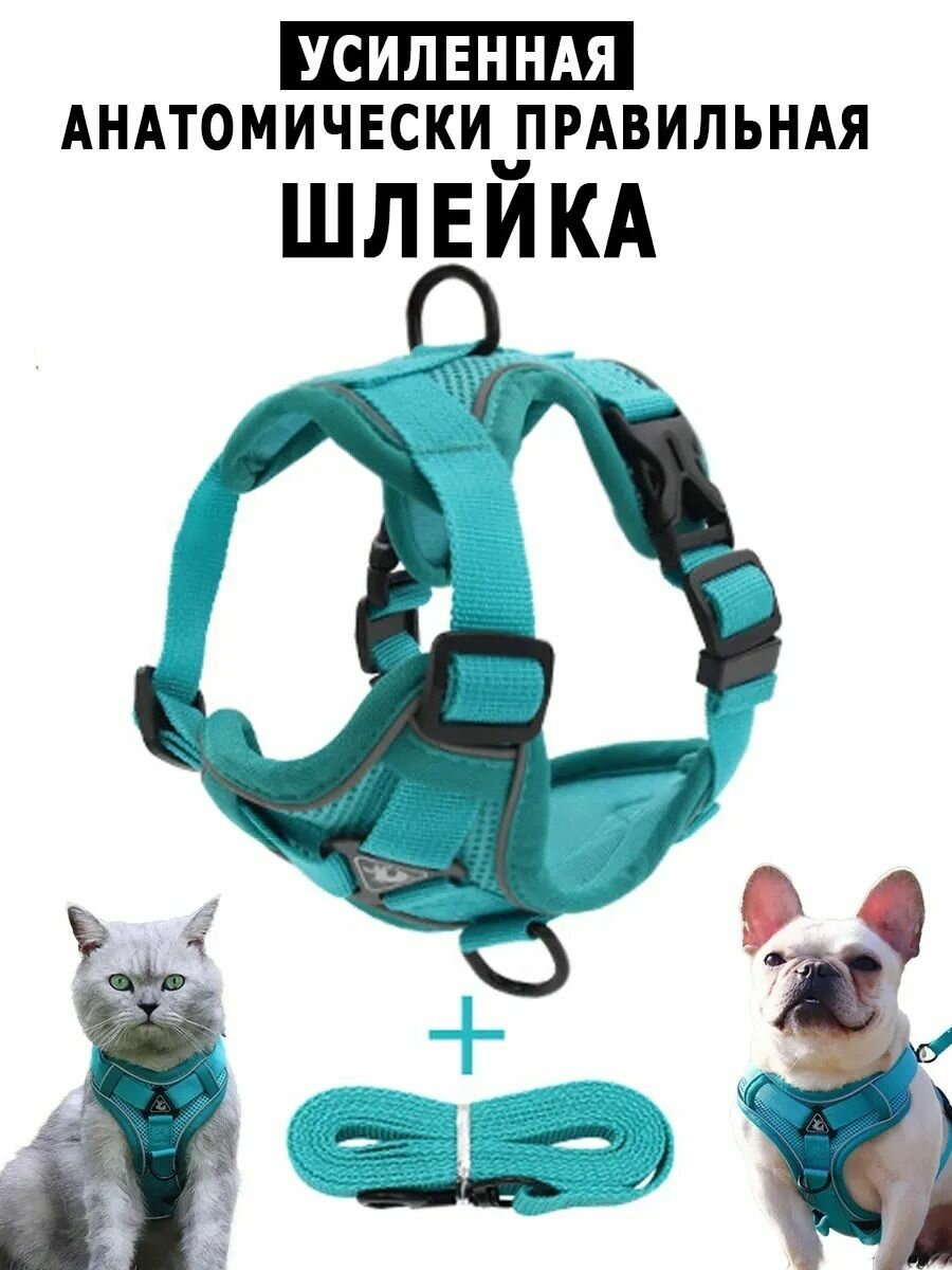 Шлейка ездовая для собак и кошек, с поводком, 3D сетка, дышащая, неопрен, синяя