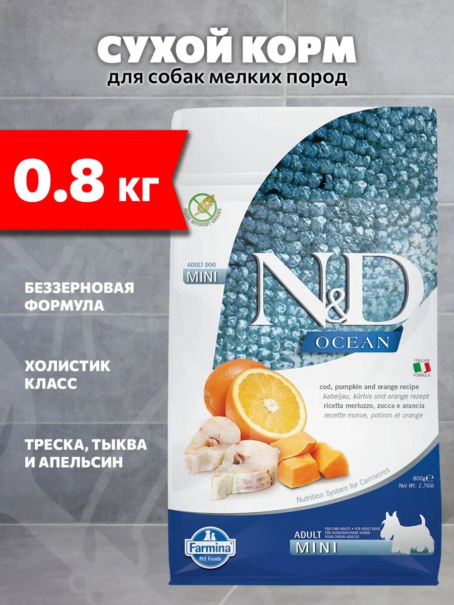 Корм сухой Farmina Dog N&D Ocean Adult Mini Codfish Pumpkin & Orange беззерновой для взрослых собак мелких пород, треска, тыква, апельсин, 0,8 кг