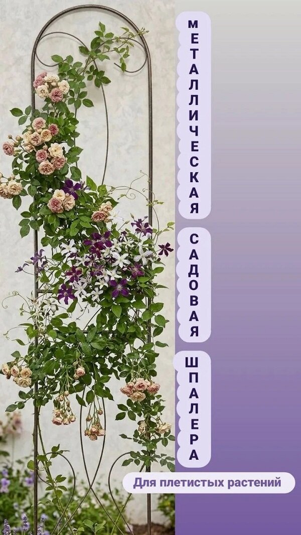 Шпалера садовая металлическая для растений (для сада) Элегия бронза, 155х31см, разборная, труба d=10