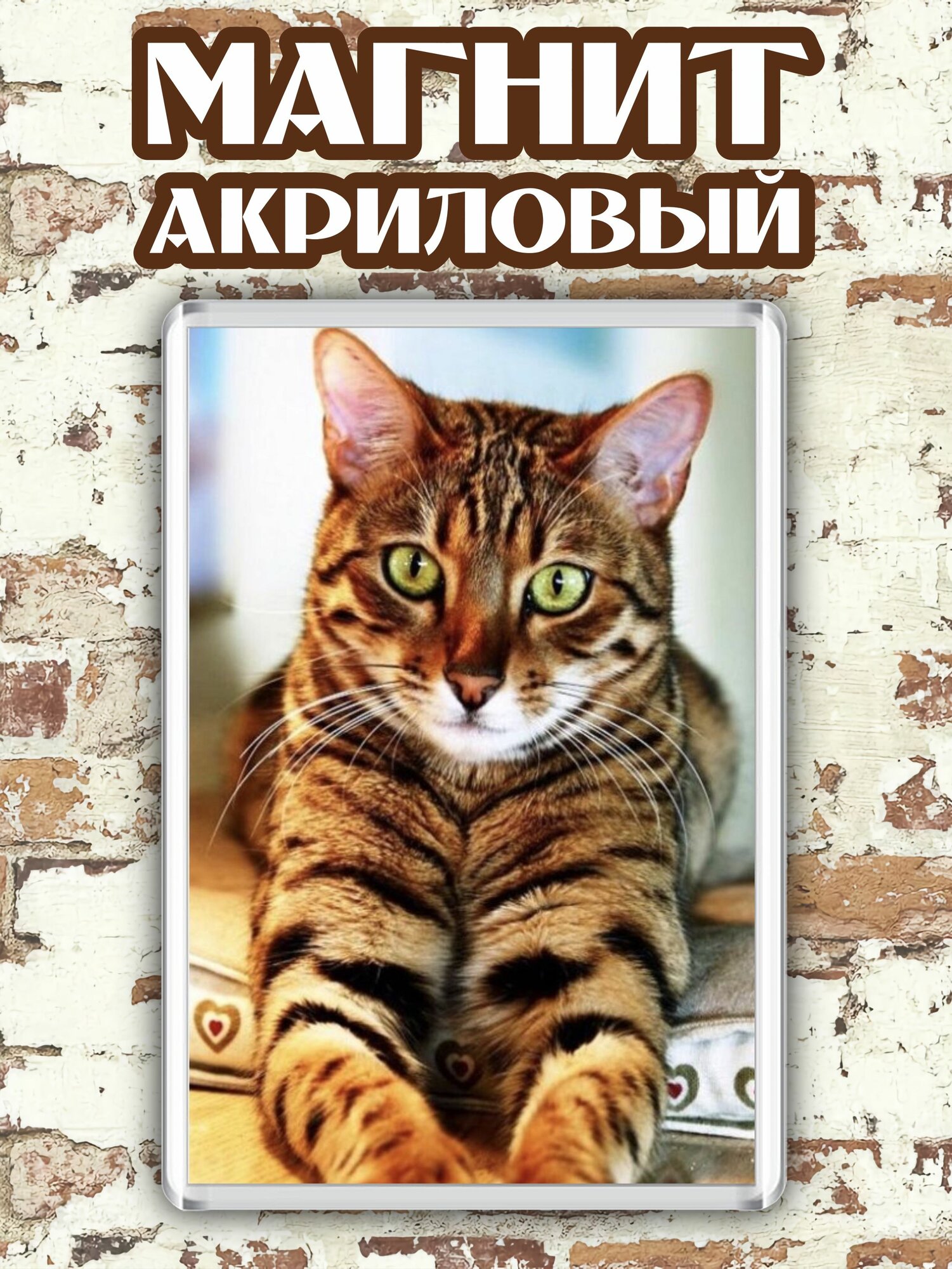 Магнит акриловый "Кот"