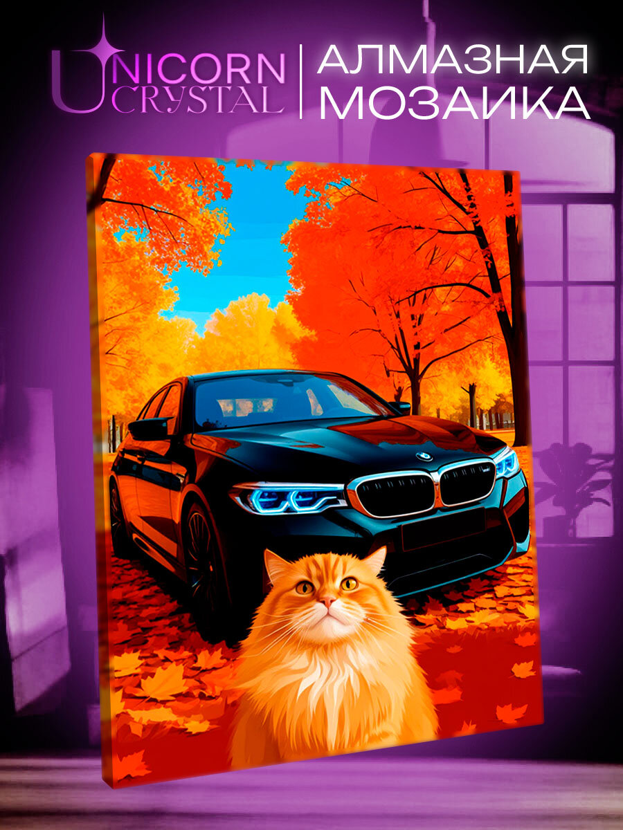 Алмазная мозаика Машина и Кот