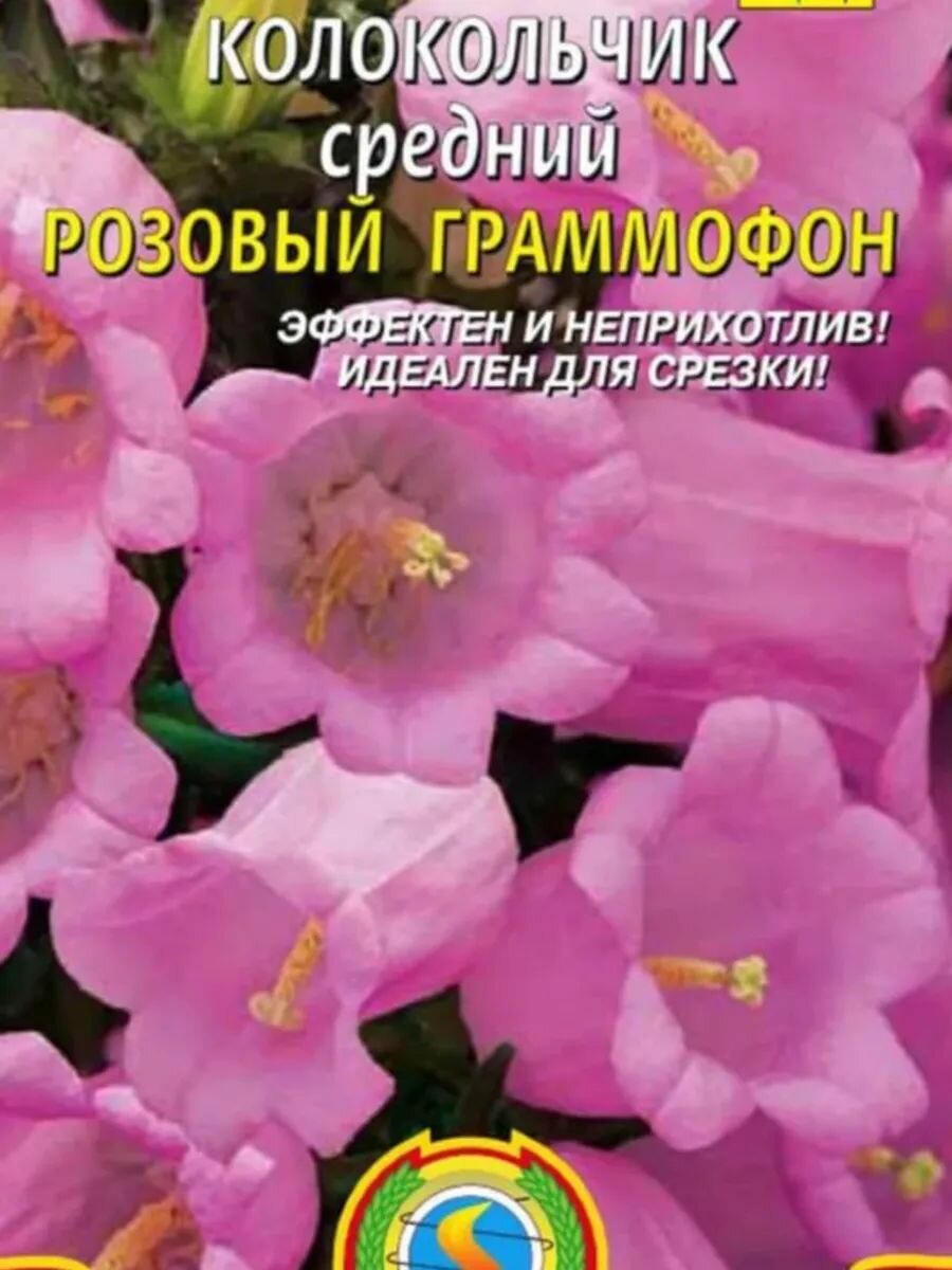 Колокольчик Розовый граммофон средний 0,1 г, Плазменные семена