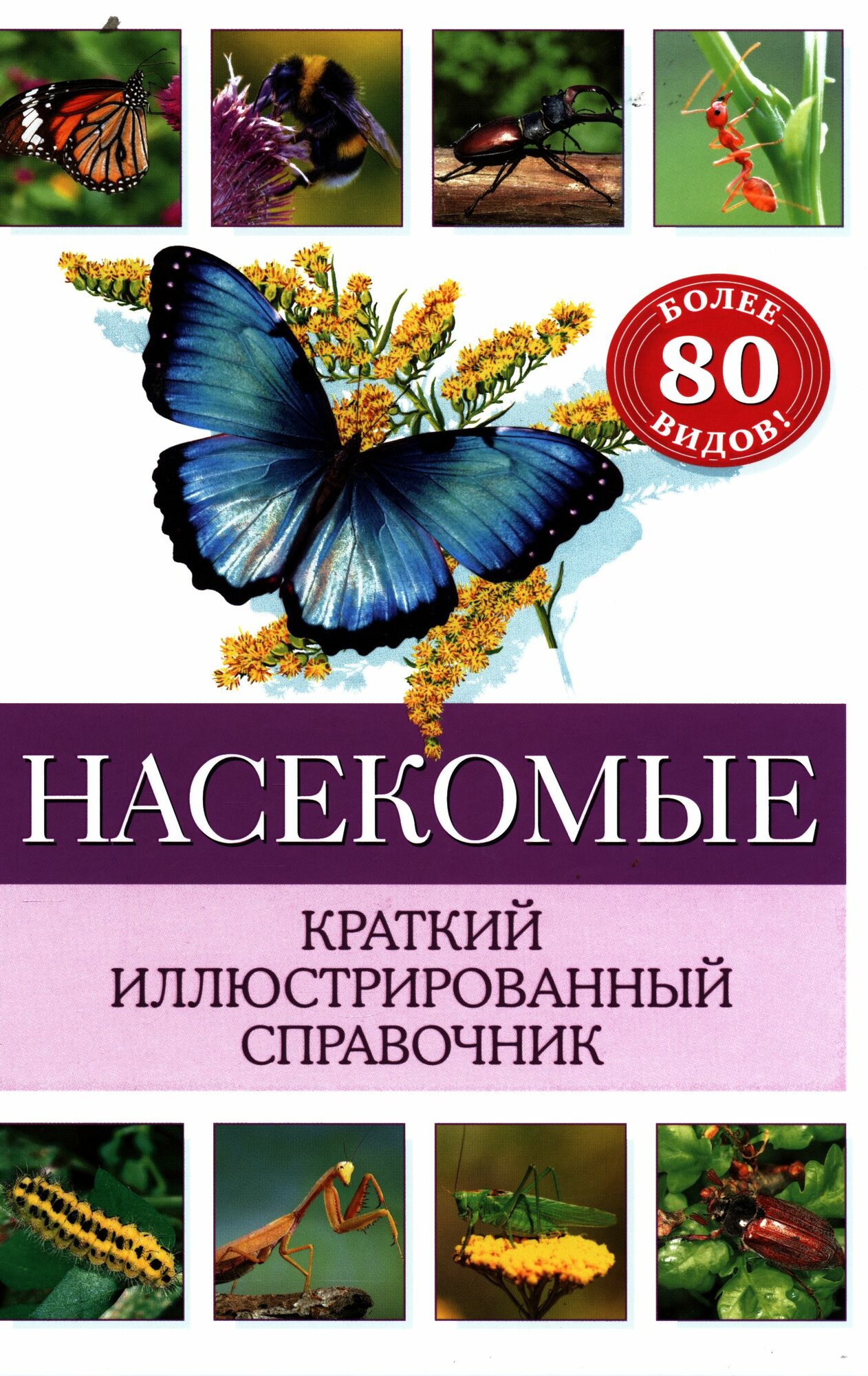 АтласыИЭнциклопедии Насекомые. Краткий иллюстрированный справочник (Офтринг Б.), (Эксмо, 2024), 7Б, c.112