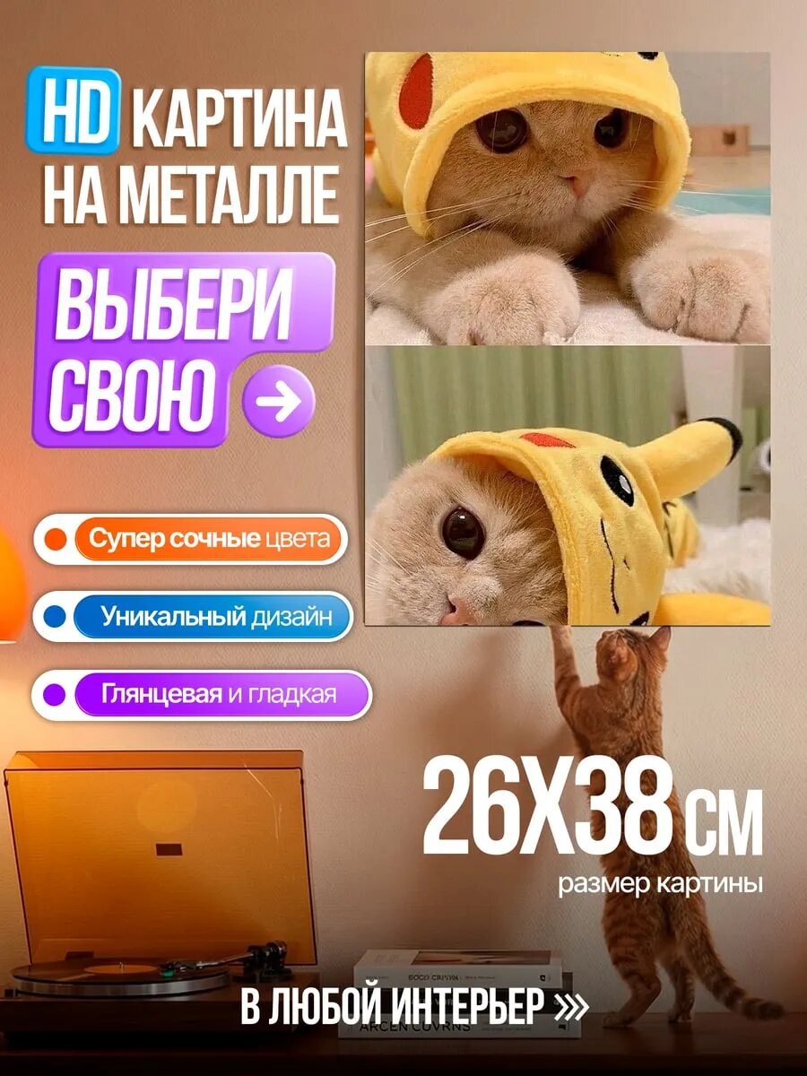 Картина на HD металле Кот в шапке Пикачу