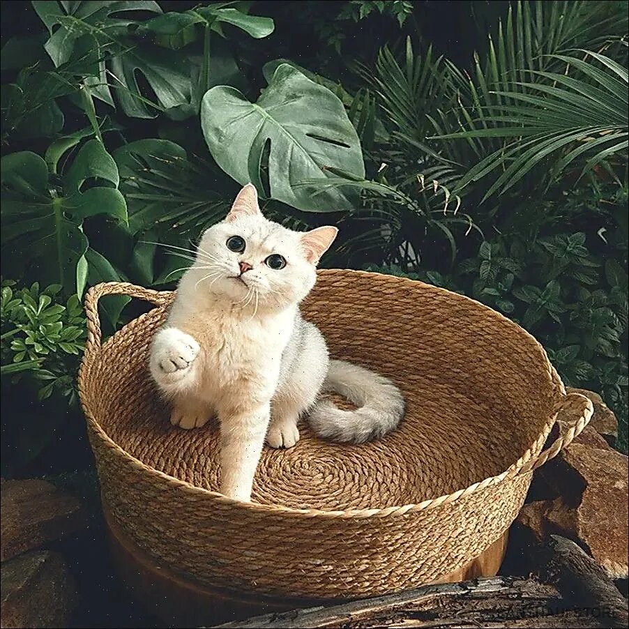 Коврик для животных35*35*13cm, Бамбук, для кошек, для дома, уютный, мягкий, теплый, практичный, комфортный