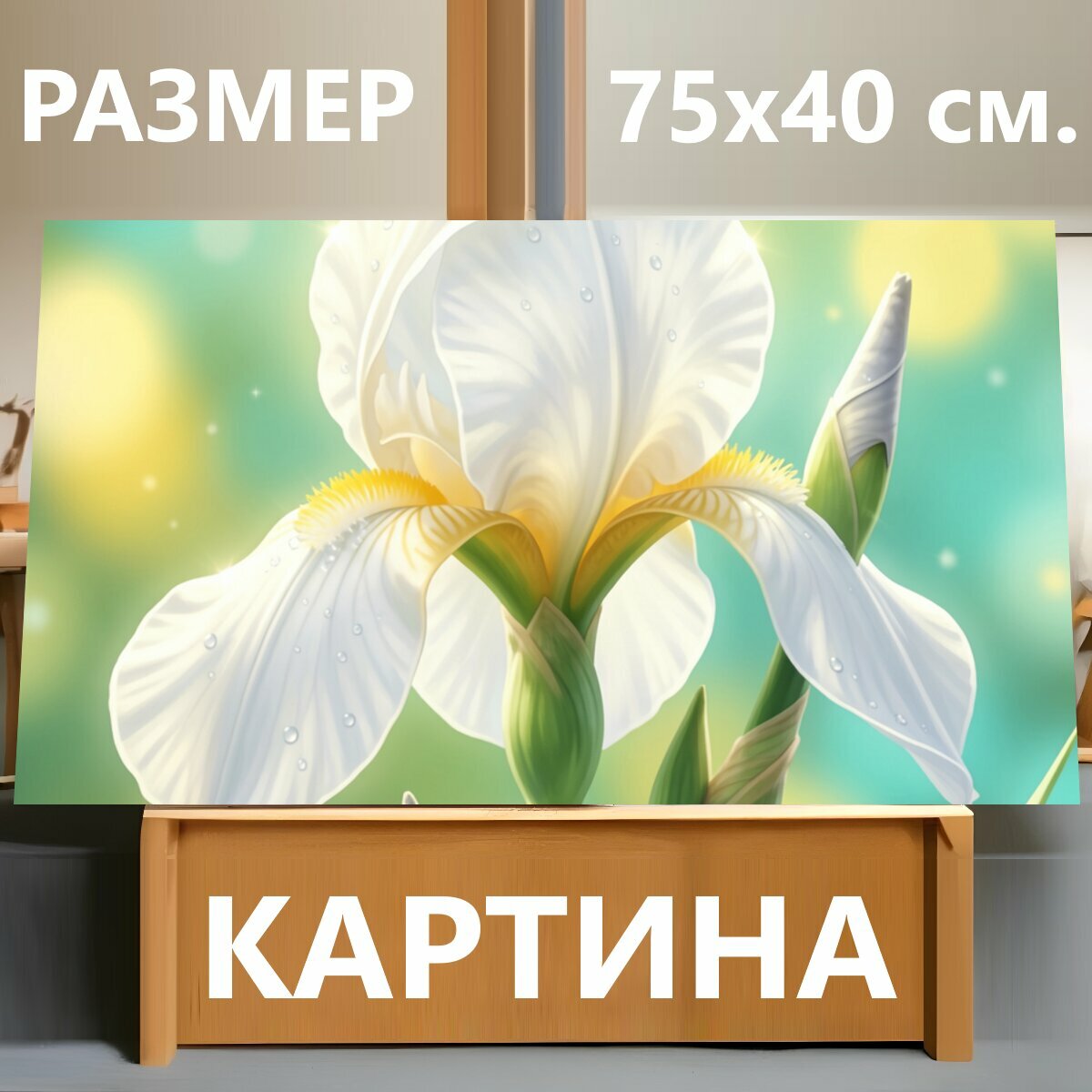 Картина на холсте "Белый ирис с бутонами. Нежный ботанический сюжет с крупным цветком и молодыми лепестками, каплями росы и мягким светящимся." на подрамнике 75х40 см. для интерьера