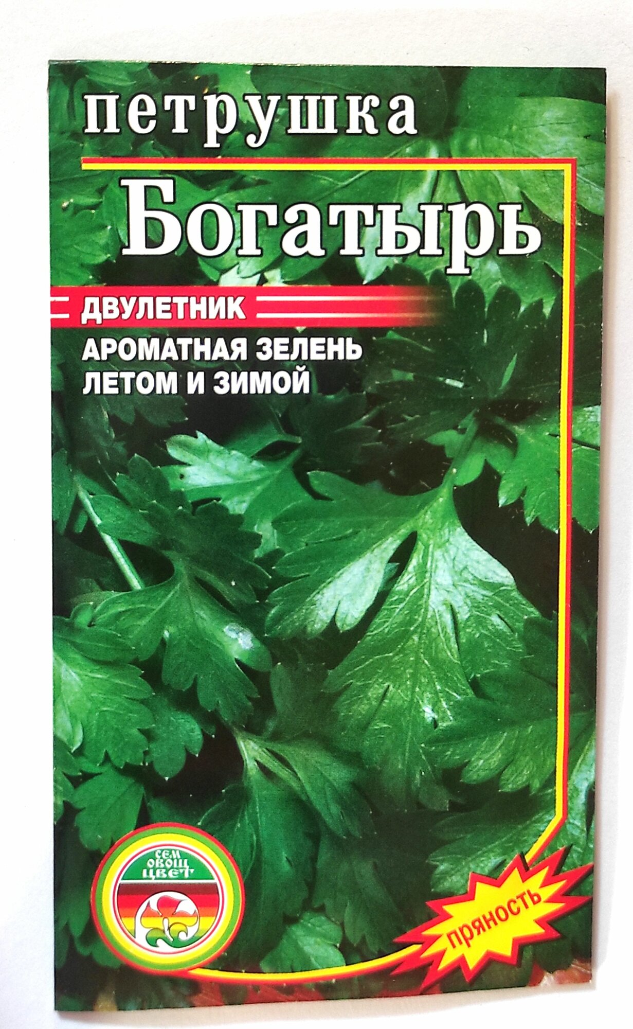 Семена петрушки "Богатырь", двулетник, ароматные, устойчивые к болезням