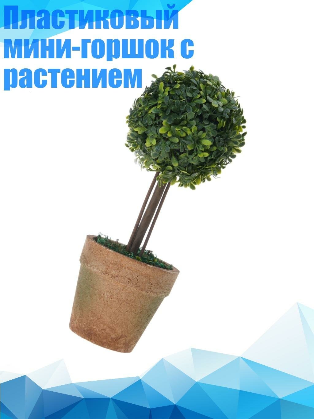 Пластиковый мини-горшок с растением, 1 - 2