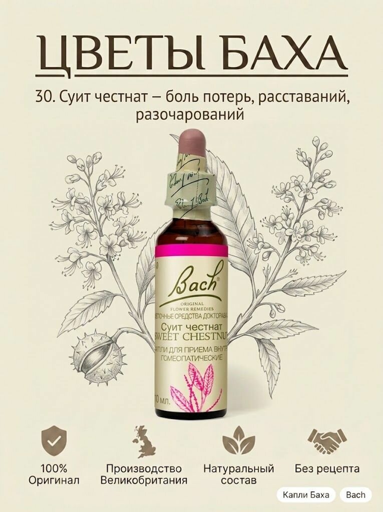 Капли Цветы Баха Суит честнат (Каштан Благородный) №30, капли гомеопатические 10 мл
