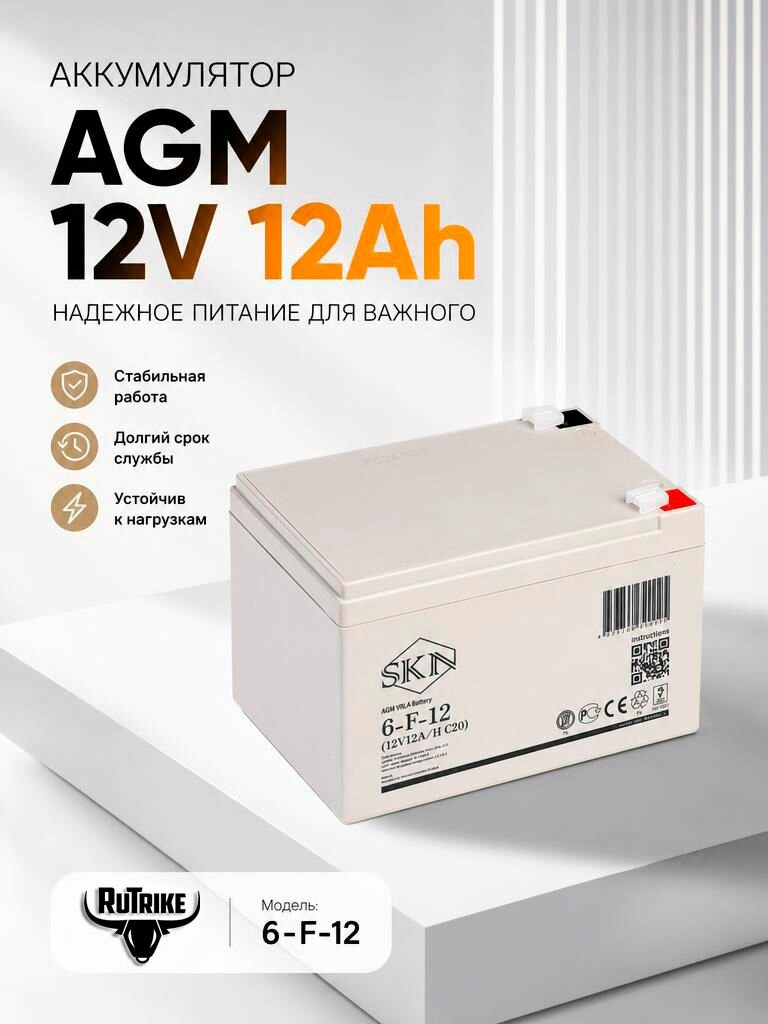 Аккумуляторная батарея SKN 6-F-12 (12V12A/H C20)