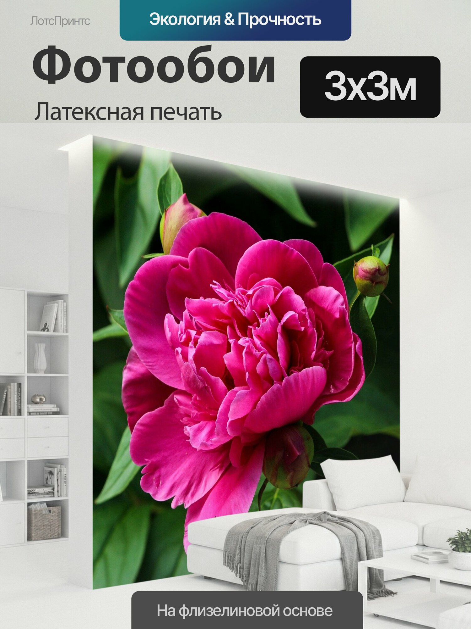 Фотообои моющиеся ударопрочные "Розовый пион, цвести, фуксия" 300x300 см. латексная печать