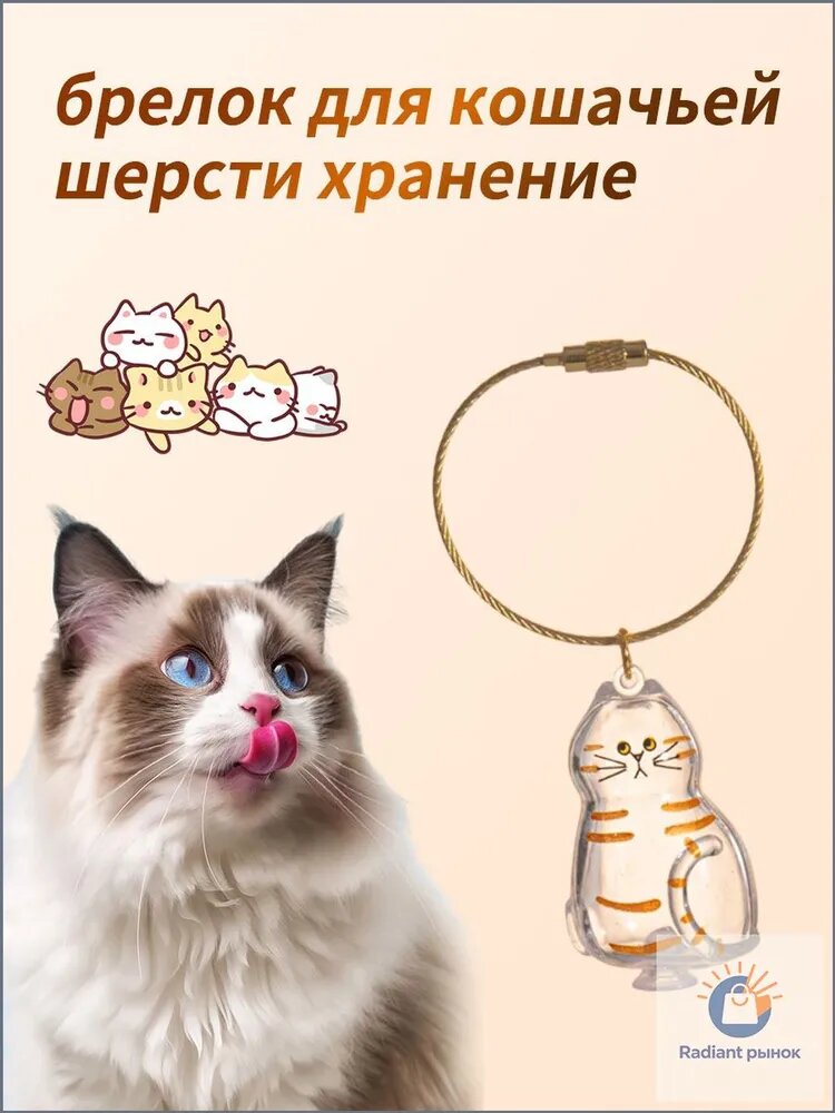 Прозрачный памятный кулон-капсула из кошачьей шерсти, милый, в форме кошки, подарок для любителей кошек