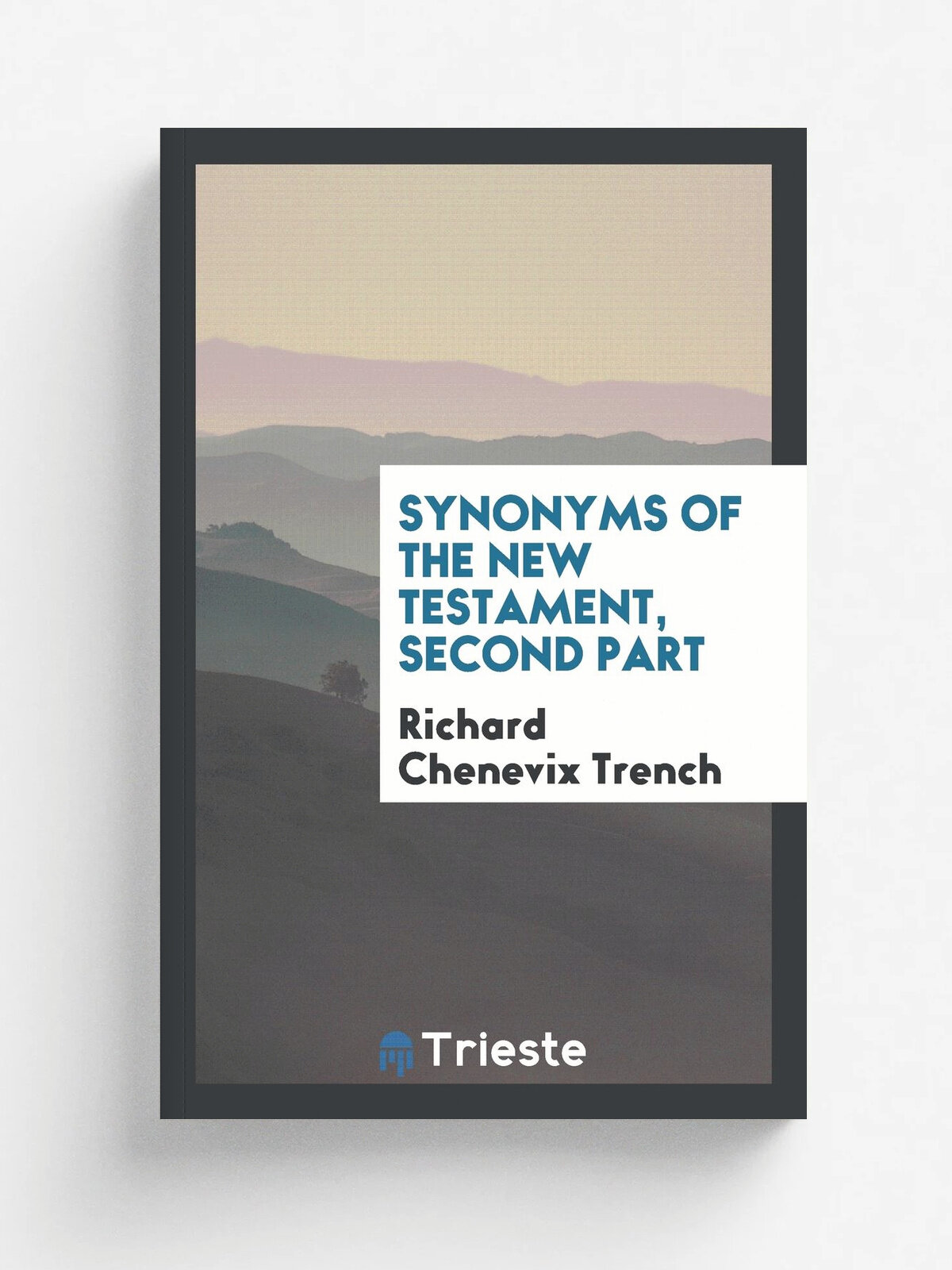 Synonyms of the New Testament, second part