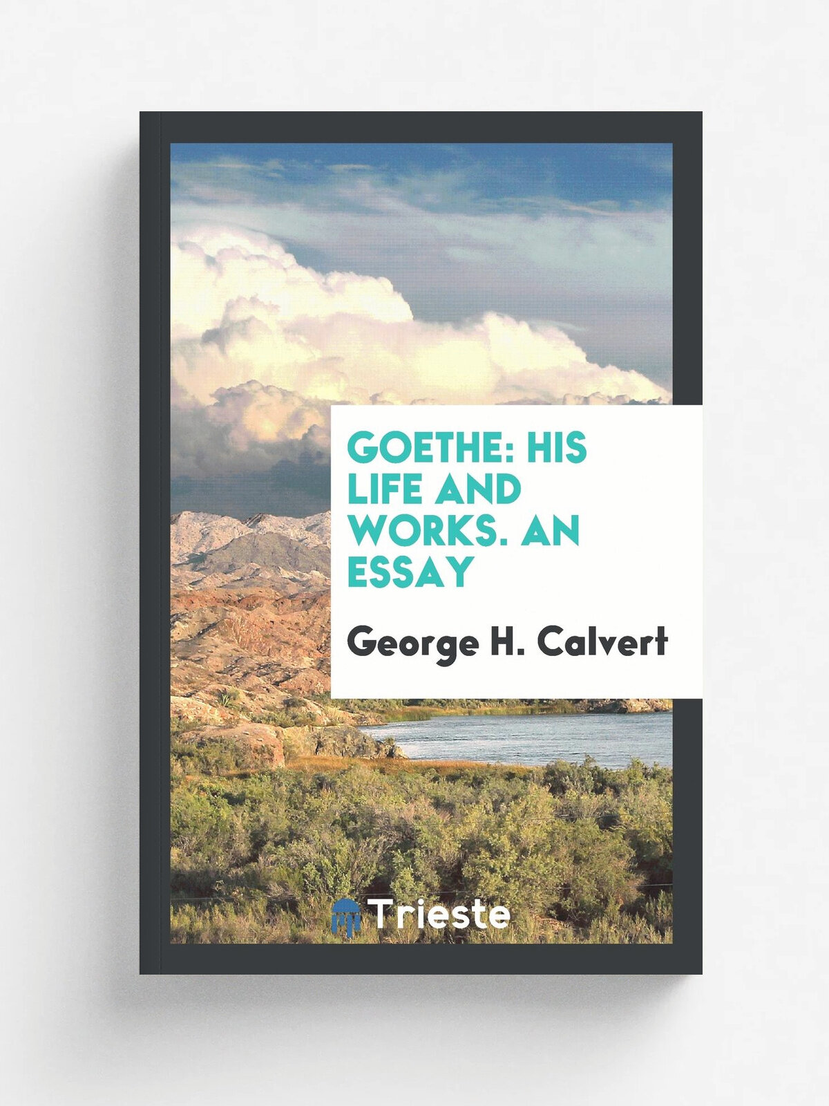 Goethe. his life and works. An essay