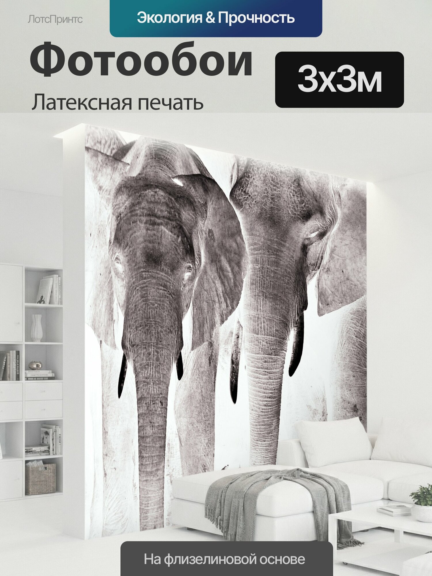 Фотообои моющиеся ударопрочные "Слоны, дикая природа, слон" 300x300 см. латексная печать