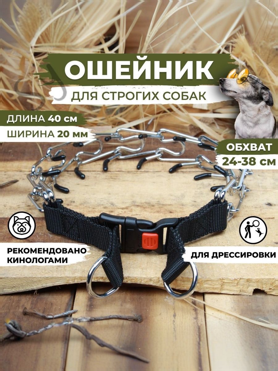 Ошейник