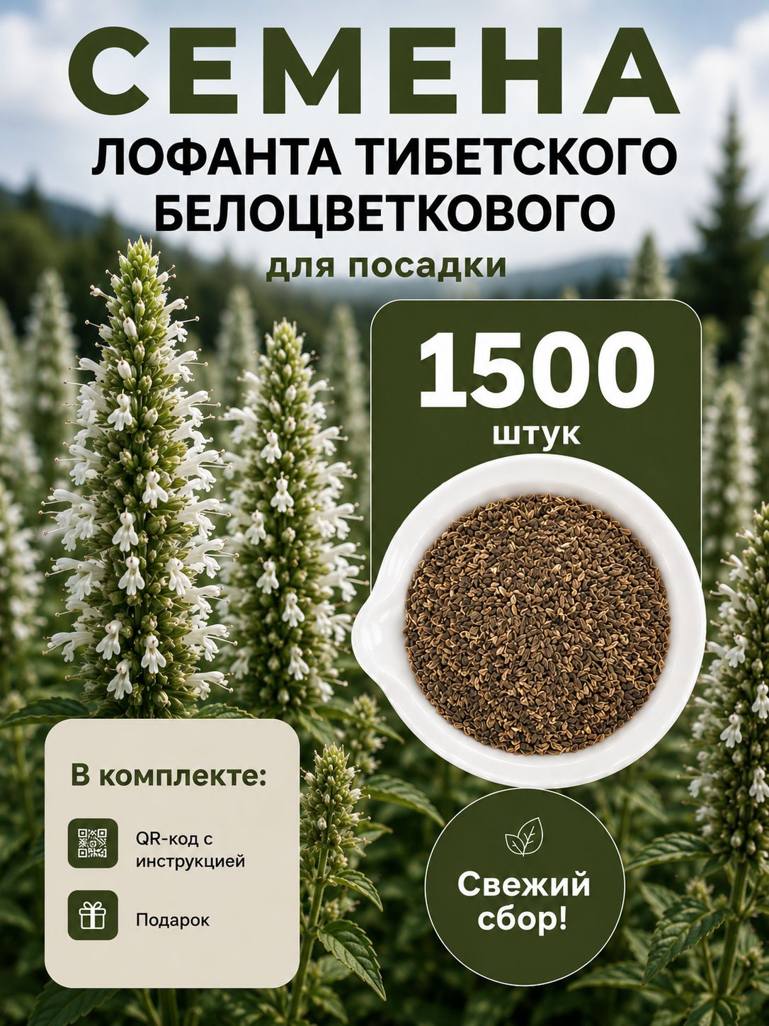 Семена Лофанта тибецкого белоцветкового, 1500 шт
