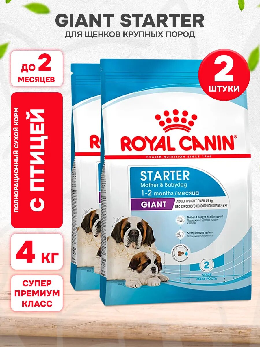 Корм сухой Royal Canin Giant Starter для щенков крупных пород до 2 месяцев, беременных и кормящих собак, 4 кг х 2 шт