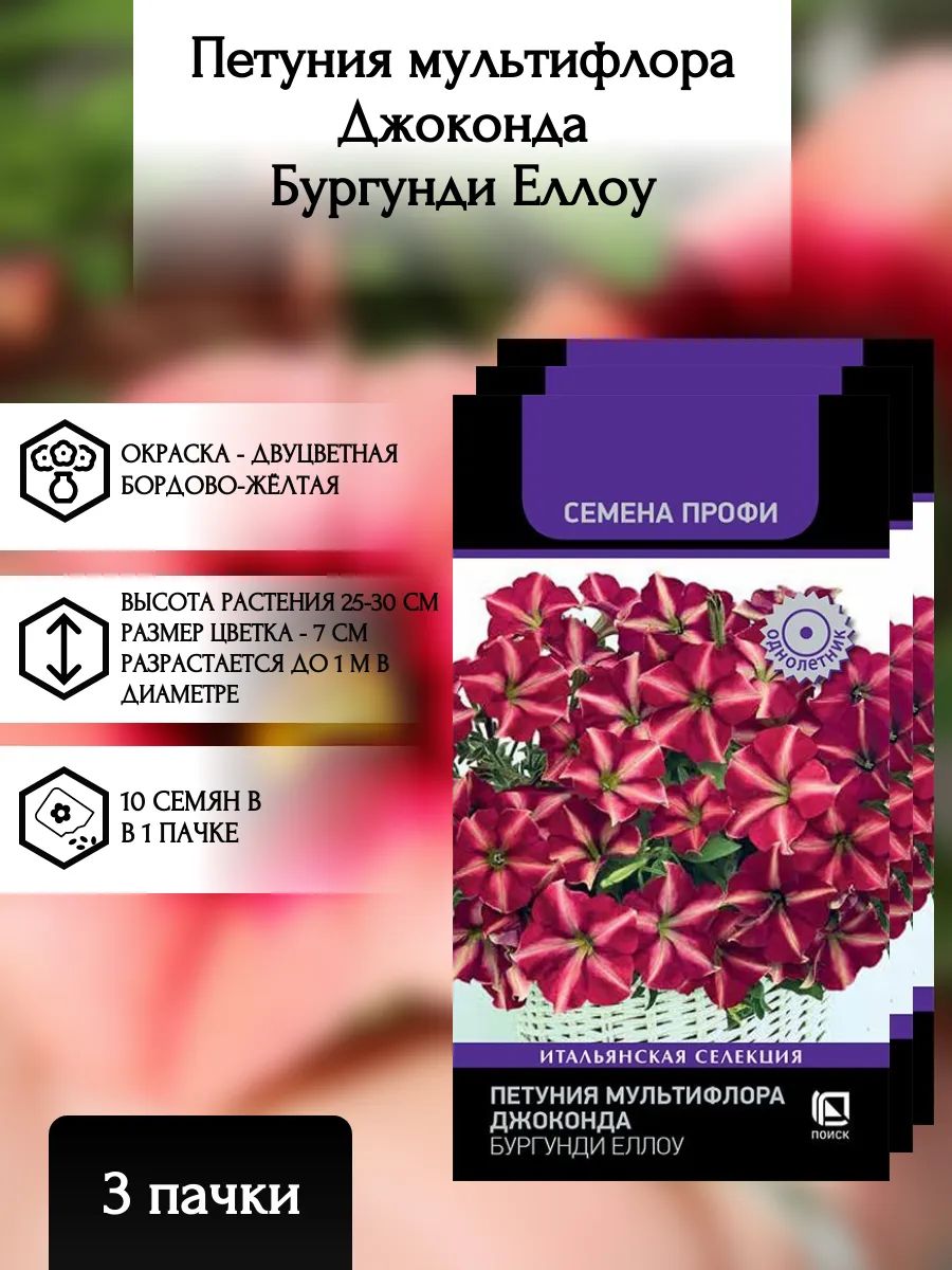 Петуния мультифлора Джоконда Бургунди Еллоу, 3 пачки